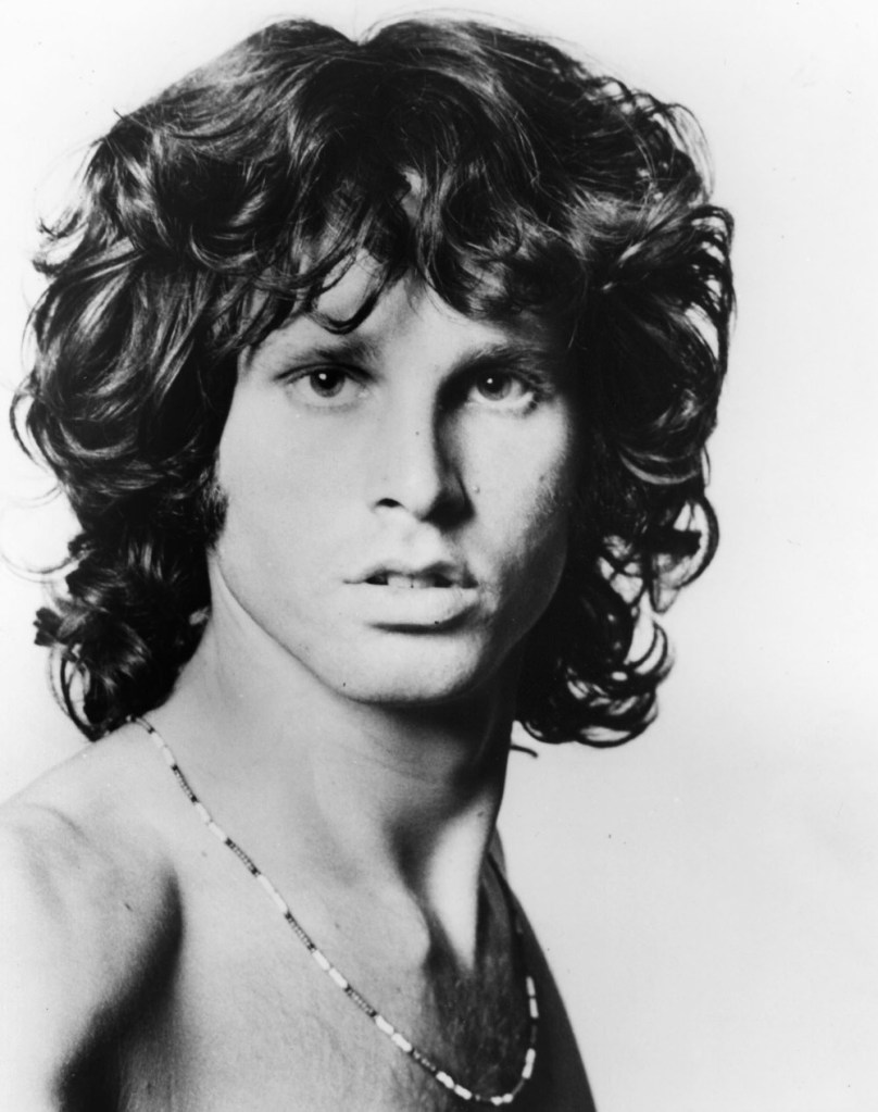 THE SCREAM OF THE BUTTERFLY – JIM MORRISON & PROJECT MONARCH – Fighting ...